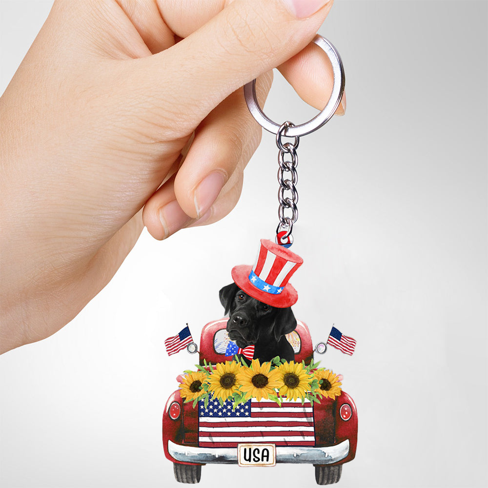 BLACK Labrador-USA Truck Flat Acrylic Keychain - Noodever