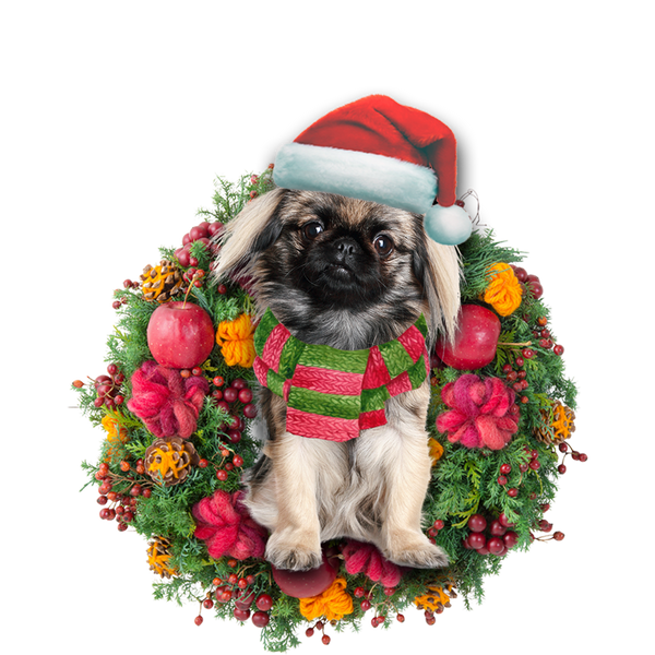Pekingese Christmas Ornament - Noodever