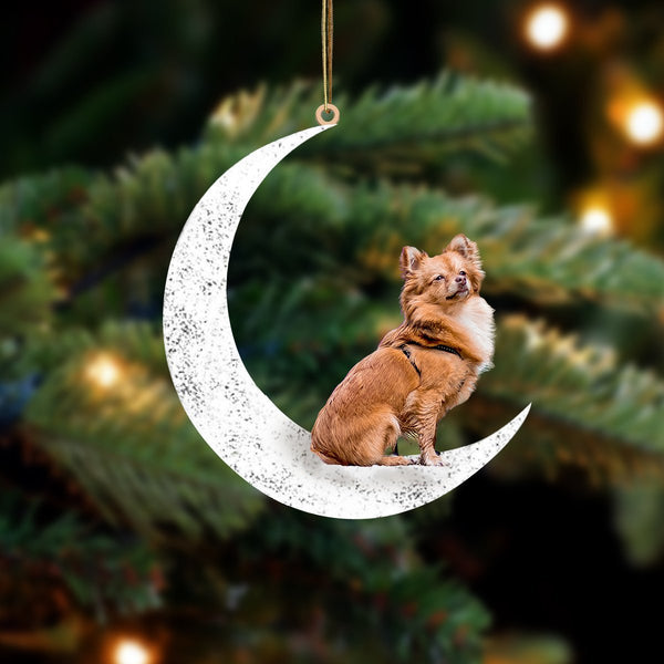 Pomchi-Sit On The Moon-Two Sided Ornament - Noodever