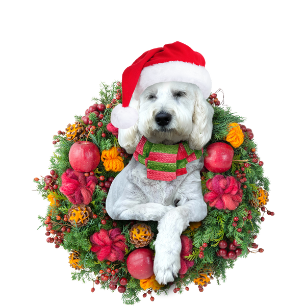 Groodle Christmas Ornament - Noodever